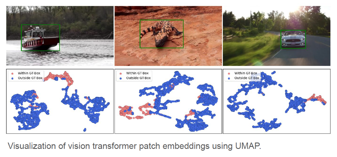Downstream Application of Foundation Models - SAIL